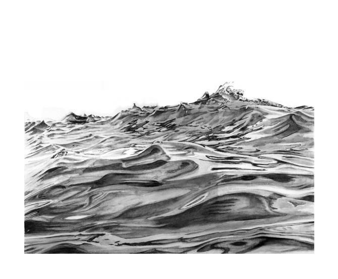 Drawing with Seawater - joanapimentel.com
